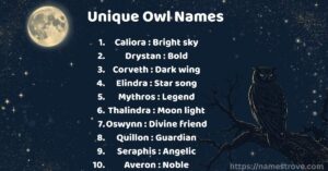 476+ Best Owl Names With Meanings (Cute, Cool & Unique) - Names Trove