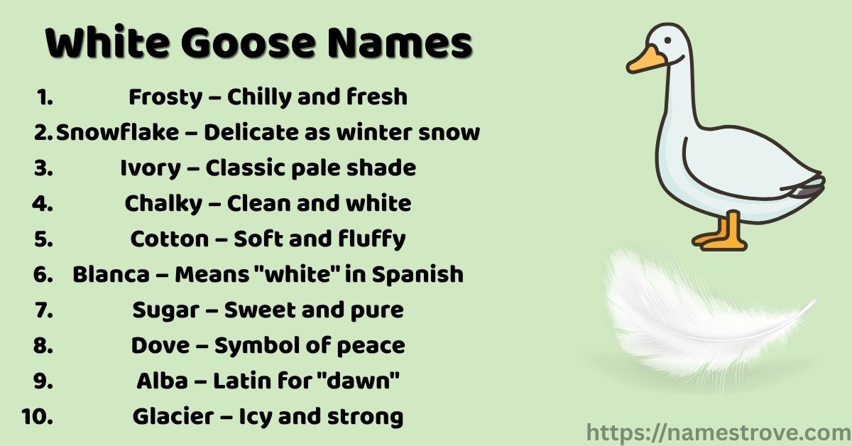 Goose Names With Meaning [397+ Best Ideas for 2025] - Names Trove