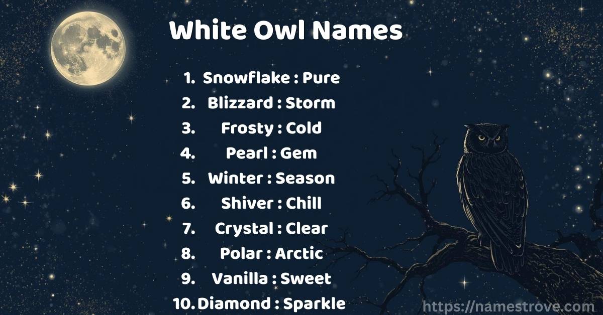 476+ Best Owl Names With Meanings (Cute, Cool & Unique) - Names Trove