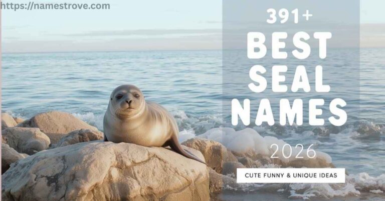 391+ Best Seal Names (2026): Cute, Funny & Unique Ideas - Names Trove