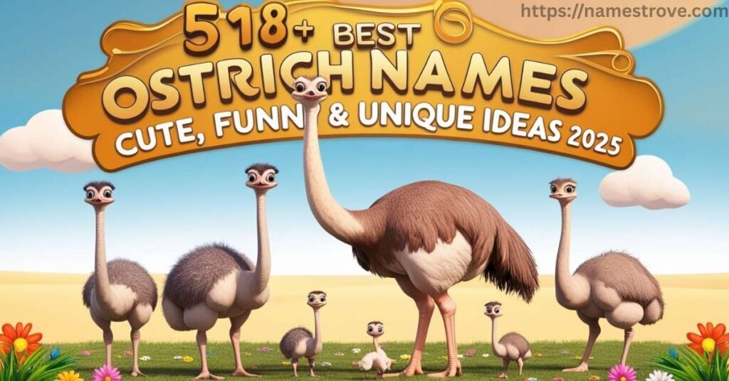 518+ Best Ostrich Names: Cute, Funny & Unique Ideas 2025 - Names Trove