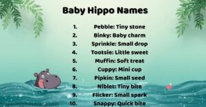 400+ Best Hippo Names with Meanings (2025 Guide) - Names Trove
