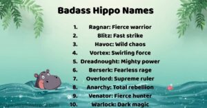400+ Best Hippo Names with Meanings (2025 Guide) - Names Trove