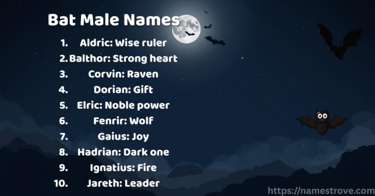 400+ Best Bat Names: Cute, Cool & Unique Ideas (2025) - Names Trove