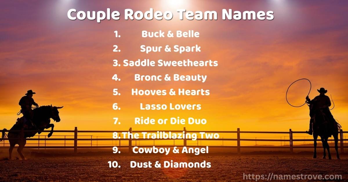 366+ Best Rodeo Team Names to Show True Western Spirit - Names Trove
