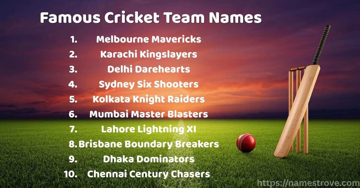 450+ Cricket Team Names to Inspire Your Winning Squad (2025) - Names Trove