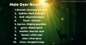 393+ Best Deer Names: Cute, Unique, Famous & More (2025) - Names Trove