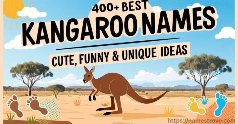 400+ Best Kangaroo Names: Cute, Funny & Unique Ideas - Names Trove