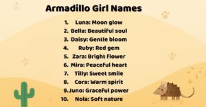 400+ Best Armadillo Names: Cute, Funny & Unique Ideas - Names Trove