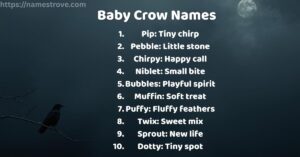 522+ Crow Names (2026): Unique, Cool & Cute Ideas - Names Trove