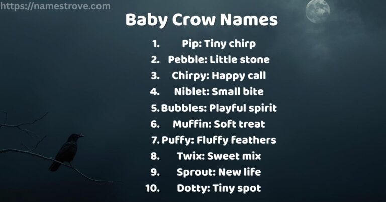 522+ Crow Names (2026): Unique, Cool & Cute Ideas - Names Trove