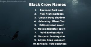522+ Crow Names (2026): Unique, Cool & Cute Ideas - Names Trove