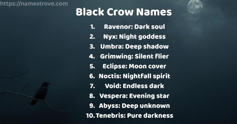 522+ Crow Names (2026): Unique, Cool & Cute Ideas - Names Trove