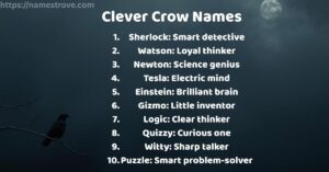 522+ Crow Names (2026): Unique, Cool & Cute Ideas - Names Trove