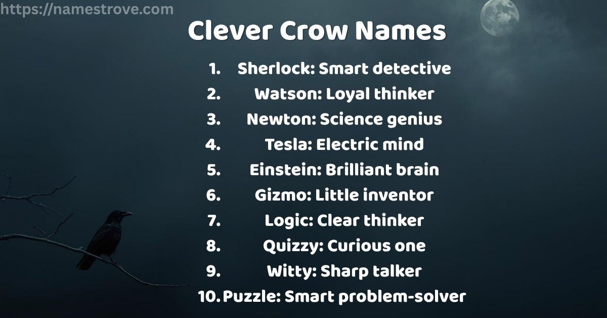 522+ Crow Names (2026): Unique, Cool & Cute Ideas - Names Trove
