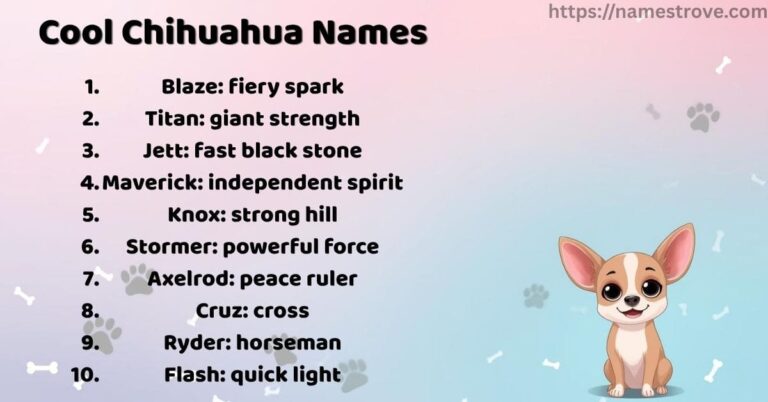 450+ Best Chihuahua Names 2025: Cute, Unique & Fun Ideas - Names Trove