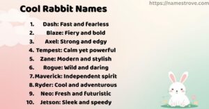 450+ Best Rabbit Names (2025): Cute & Funny Bunny Ideas - Names Trove