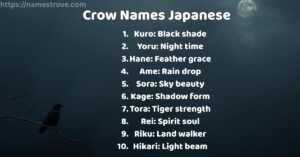 522+ Crow Names (2026): Unique, Cool & Cute Ideas - Names Trove