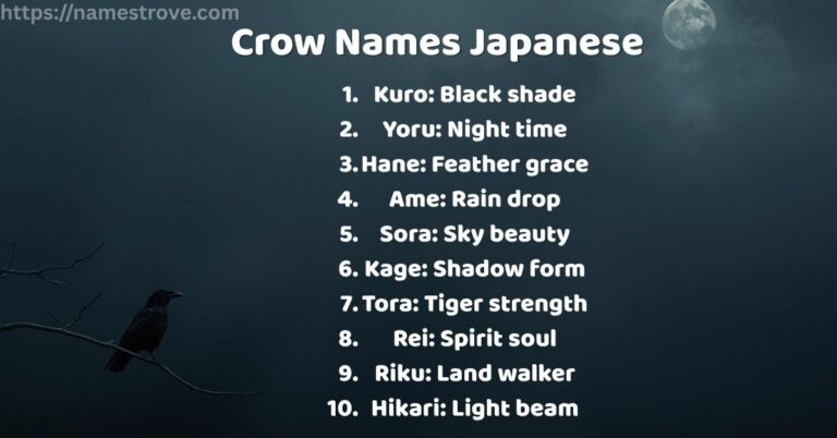522+ Crow Names (2026): Unique, Cool & Cute Ideas - Names Trove