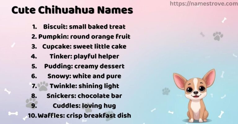 450+ Best Chihuahua Names 2025: Cute, Unique & Fun Ideas - Names Trove