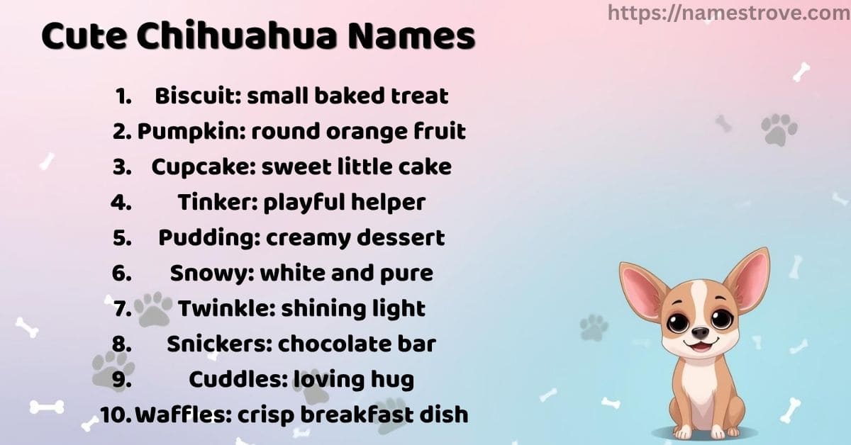 450+ Best Chihuahua Names 2025: Cute, Unique & Fun Ideas - Names Trove