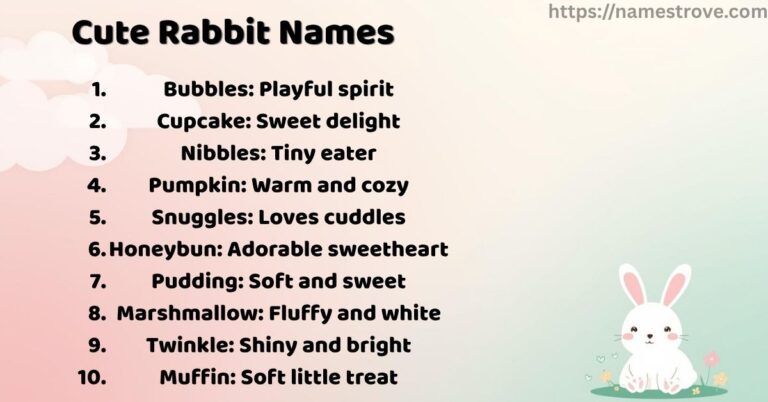 450+ Best Rabbit Names (2025): Cute & Funny Bunny Ideas - Names Trove