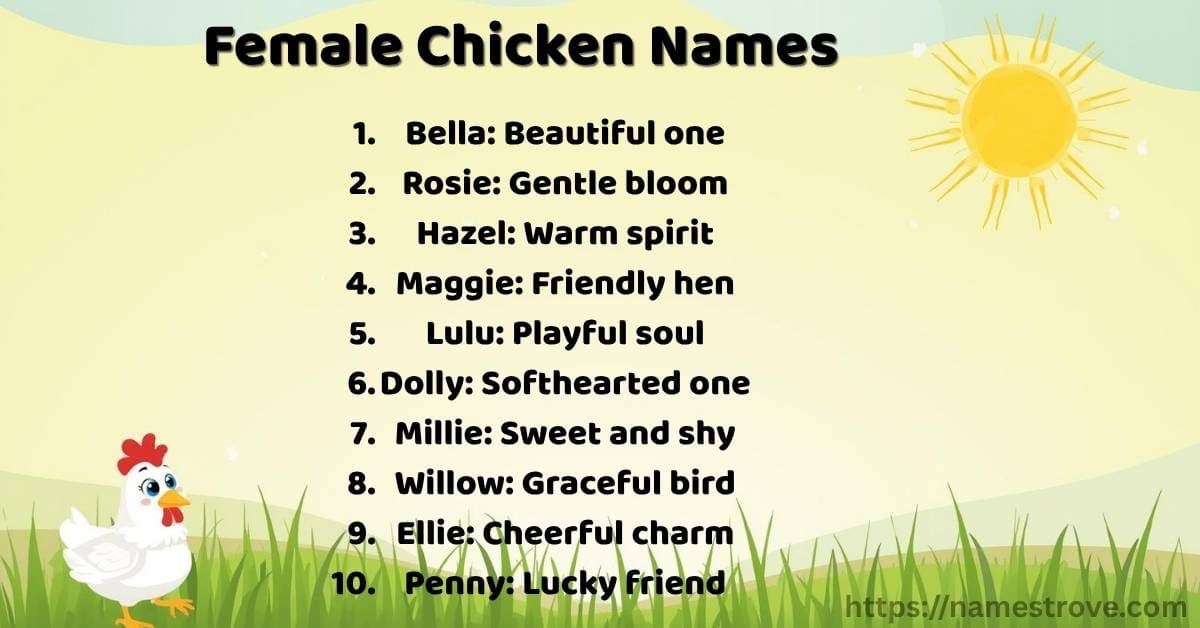 450+ Chicken Names: Funny, Cute & Creative Ideas (2025) - Names Trove