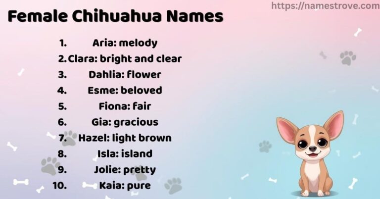 450+ Best Chihuahua Names 2025: Cute, Unique & Fun Ideas - Names Trove