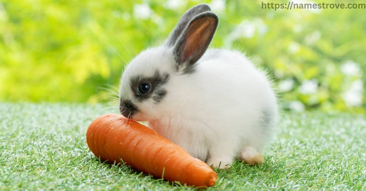 450+ Best Rabbit Names (2025): Cute & Funny Bunny Ideas - Names Trove