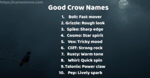 522+ Crow Names (2026): Unique, Cool & Cute Ideas - Names Trove