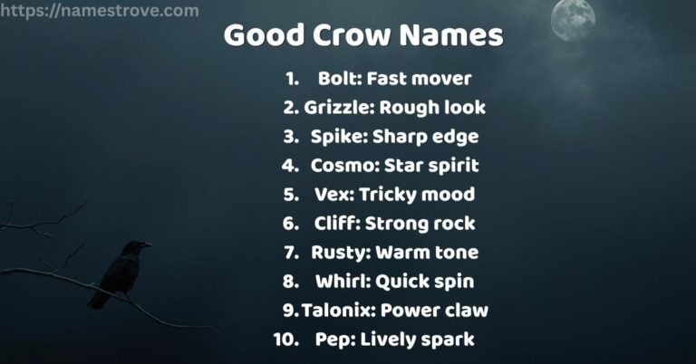 522+ Crow Names (2026): Unique, Cool & Cute Ideas - Names Trove
