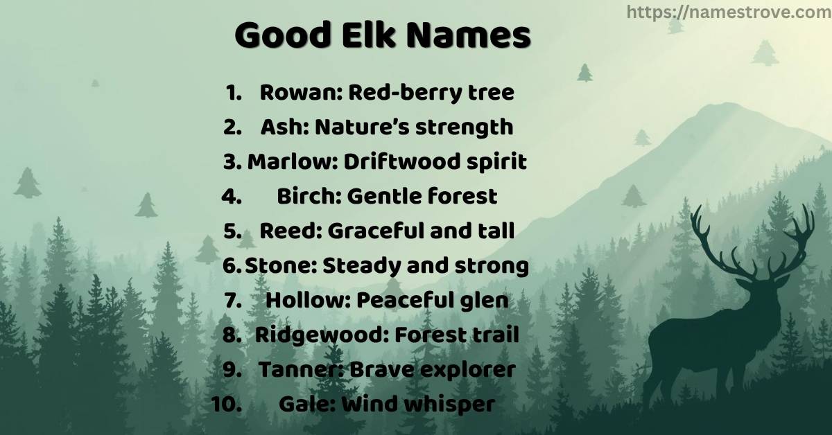 500+ Best Elk Names with Meanings — Cool, Cute & Unique Ideas - Names Trove