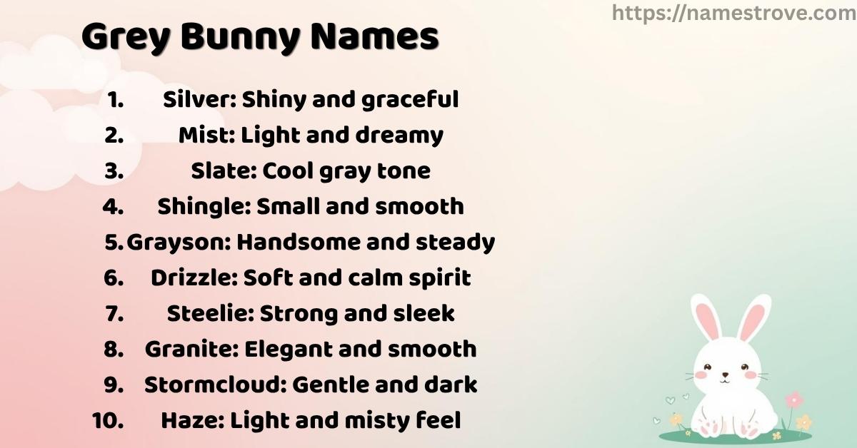450+ Best Rabbit Names (2025): Cute & Funny Bunny Ideas - Names Trove
