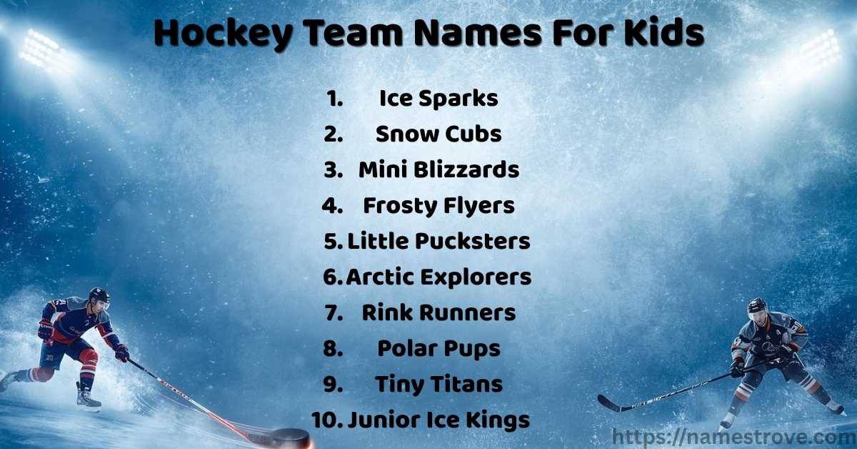 393+ Best Hockey Team Names 2025: Funny, Cool & Creative - Names Trove