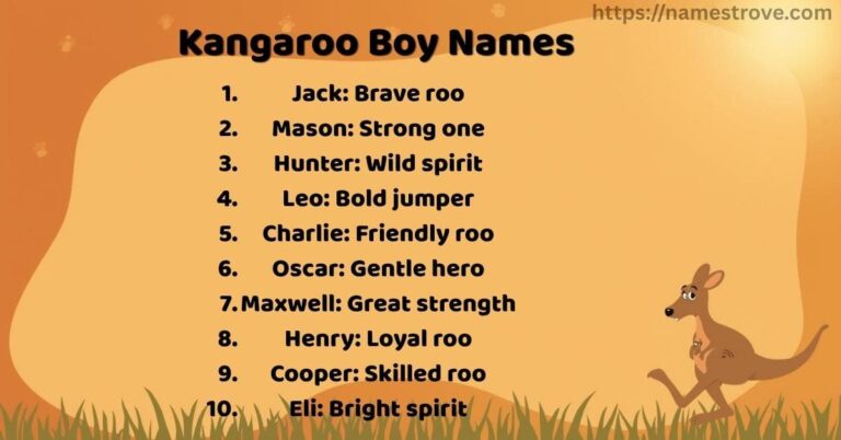 400+ Best Kangaroo Names: Cute, Funny & Unique Ideas - Names Trove