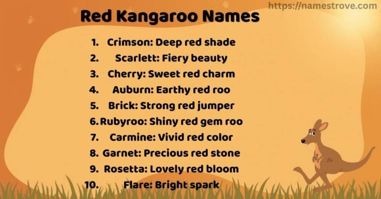 400+ Best Kangaroo Names: Cute, Funny & Unique Ideas - Names Trove