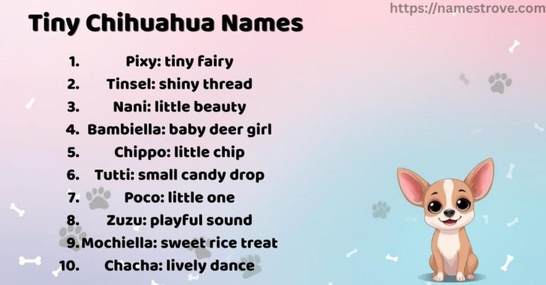 450+ Best Chihuahua Names 2025: Cute, Unique & Fun Ideas - Names Trove