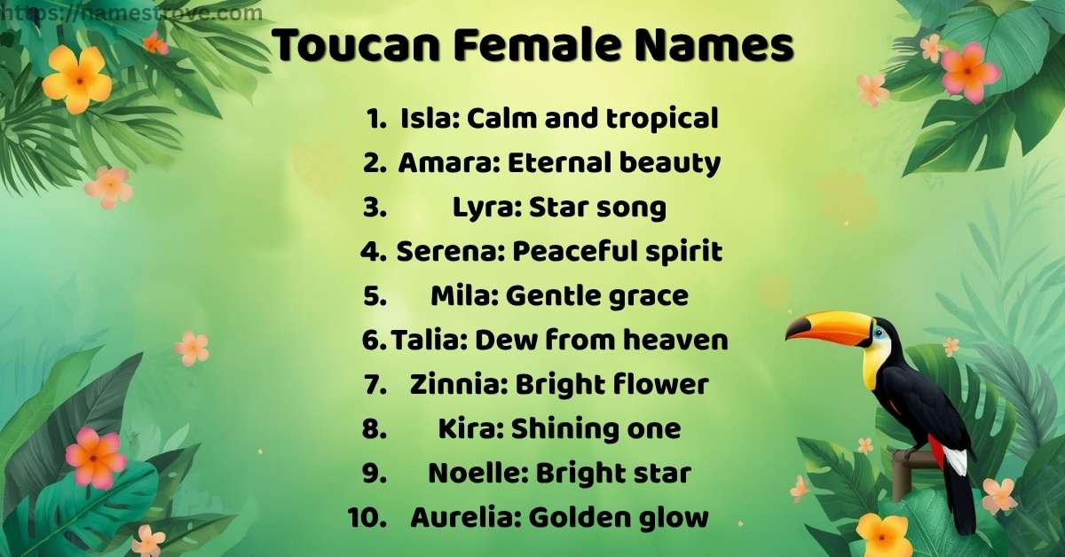370+ Best Toucan Names for 2025: Cute, Funny & Unique - Names Trove