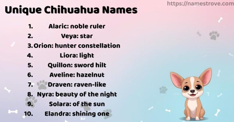 450+ Best Chihuahua Names 2025: Cute, Unique & Fun Ideas - Names Trove