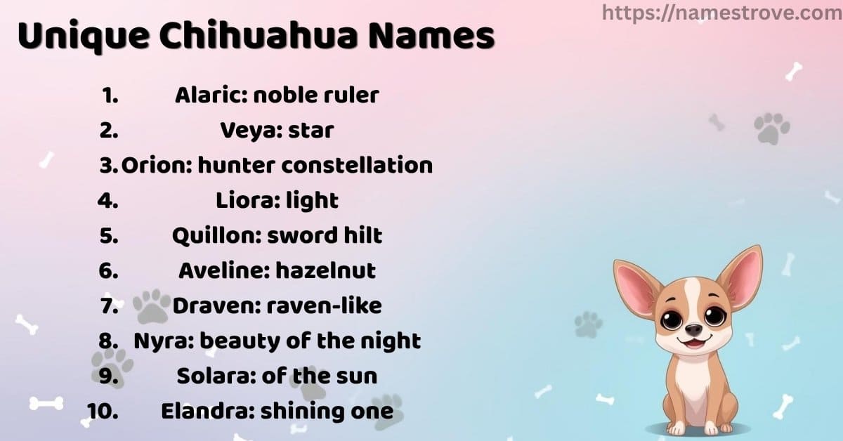 450+ Best Chihuahua Names 2025: Cute, Unique & Fun Ideas - Names Trove