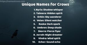 522+ Crow Names (2026): Unique, Cool & Cute Ideas - Names Trove