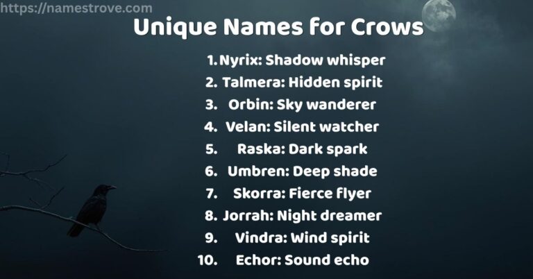 522+ Crow Names: Unique, Cool & Cute Ideas (2025) - Names Trove