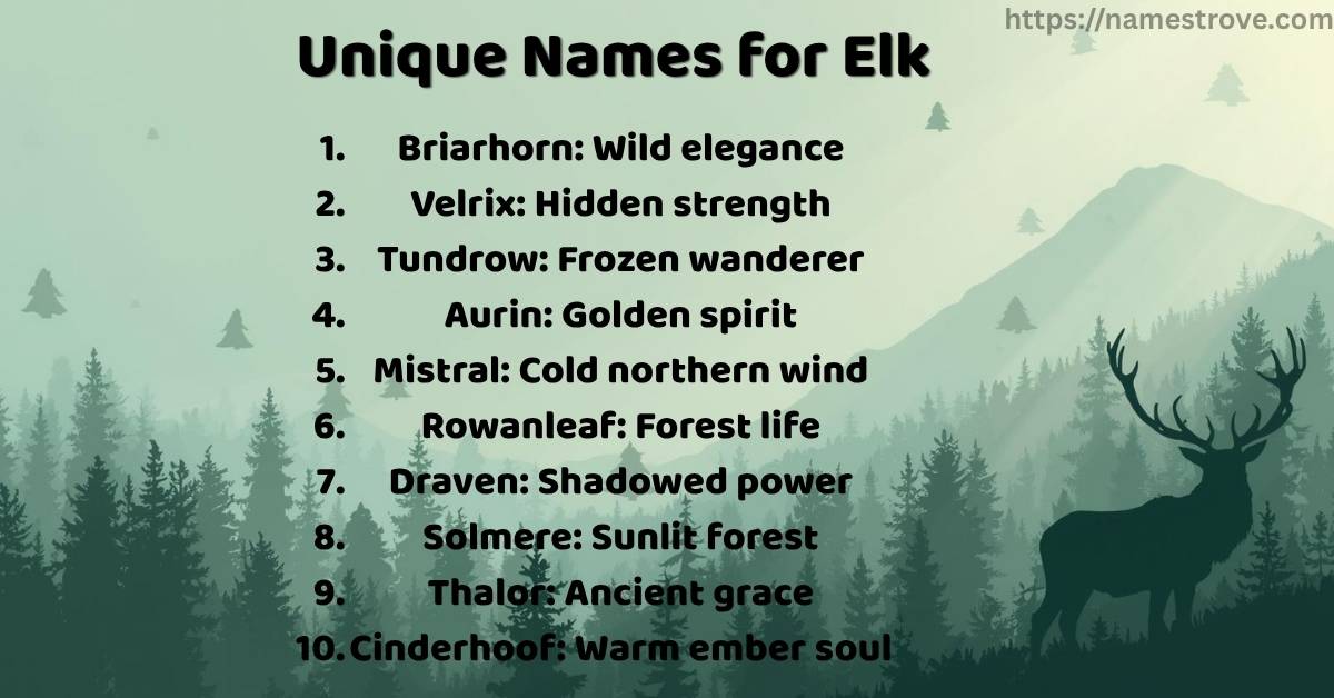 500+ Best Elk Names with Meanings — Cool, Cute & Unique Ideas - Names Trove