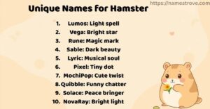 372+ Best Hamster Names: Cute, Funny & Unique Ideas - Names Trove