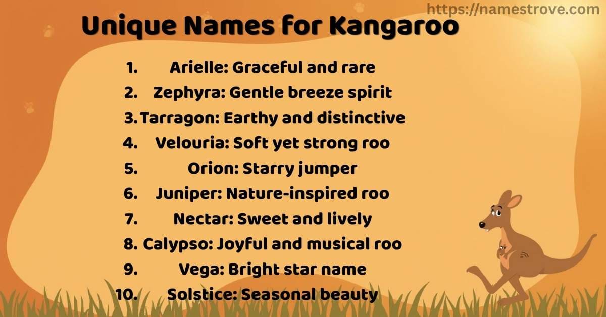 400+ Best Kangaroo Names: Cute, Funny & Unique Ideas - Names Trove