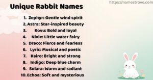 450+ Best Rabbit Names (2025): Cute & Funny Bunny Ideas - Names Trove
