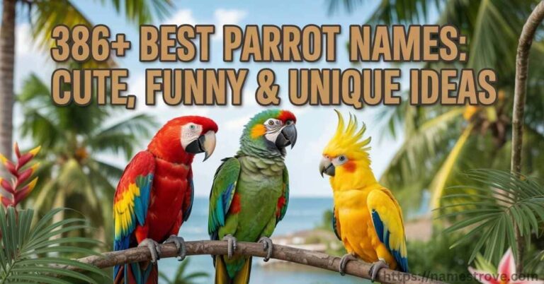 386+ Best Parrot Names: Cute, Funny & Unique Ideas - Names Trove