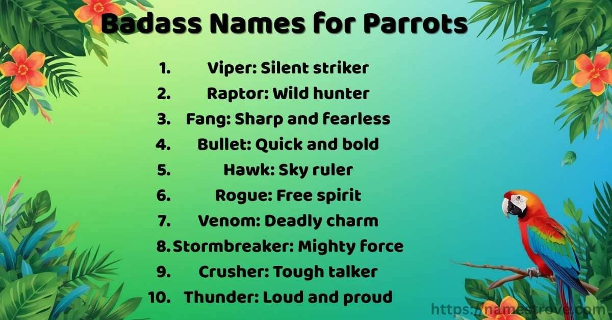 386+ Best Parrot Names: Cute, Funny & Unique Ideas - Names Trove