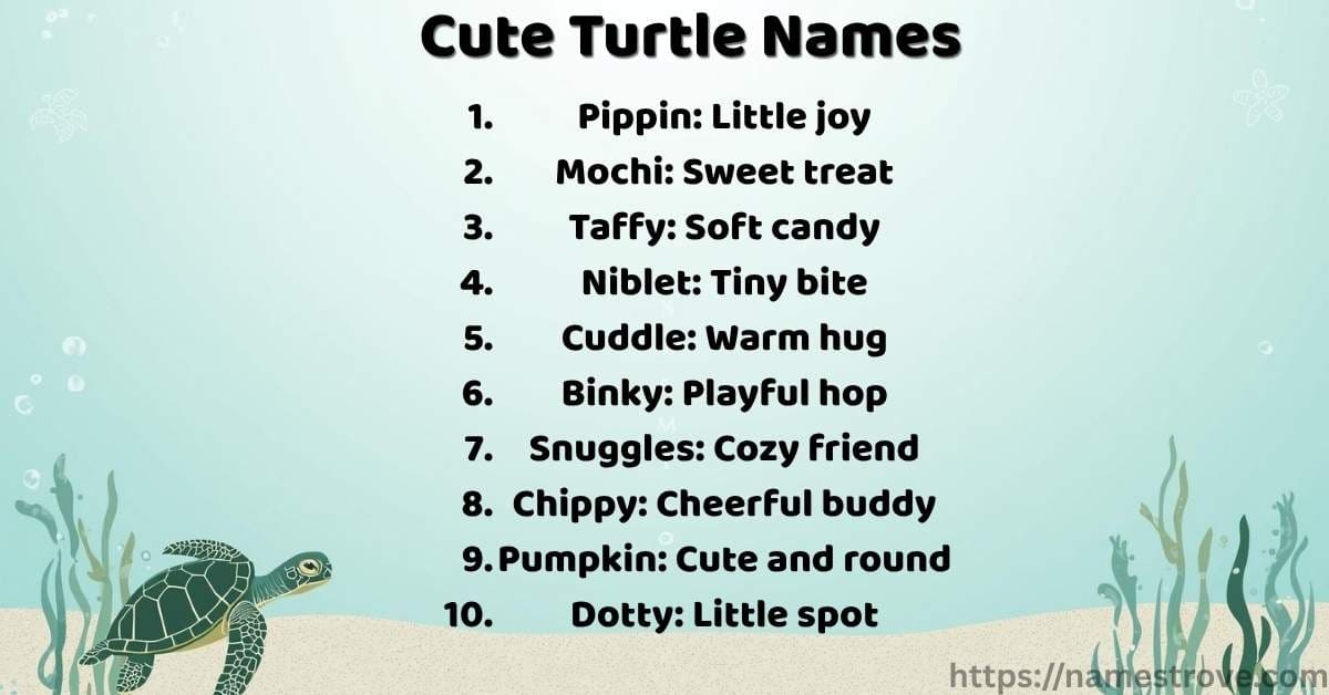 374+ Best Turtle Names: Cute, Funny & Unique Ideas - Names Trove