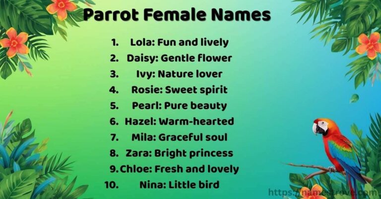 386+ Best Parrot Names: Cute, Funny & Unique Ideas - Names Trove
